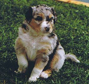 Ajano – Ajano’s News